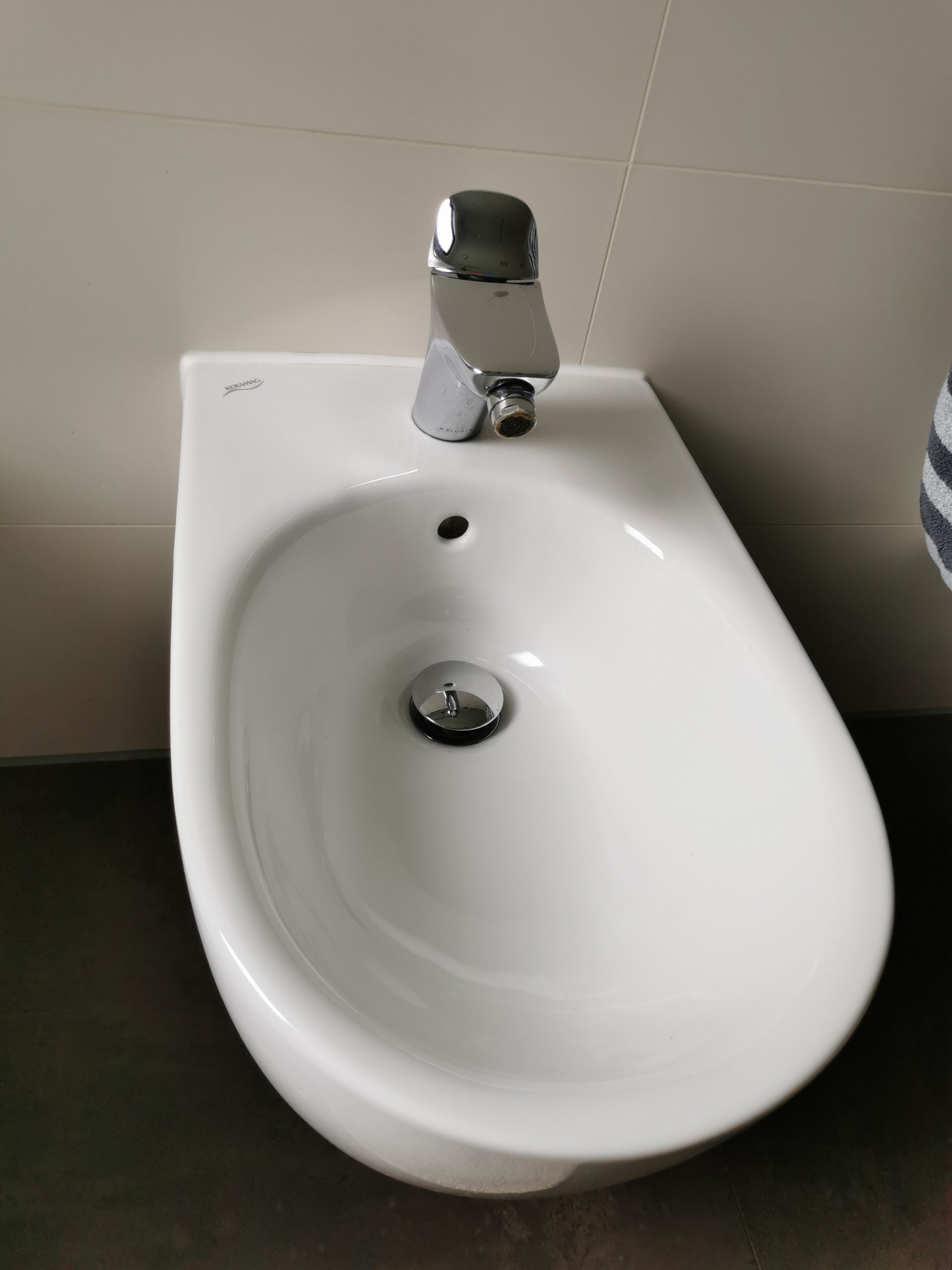Ist ein Bidet oder Dusch-WC wirklich Luxus?